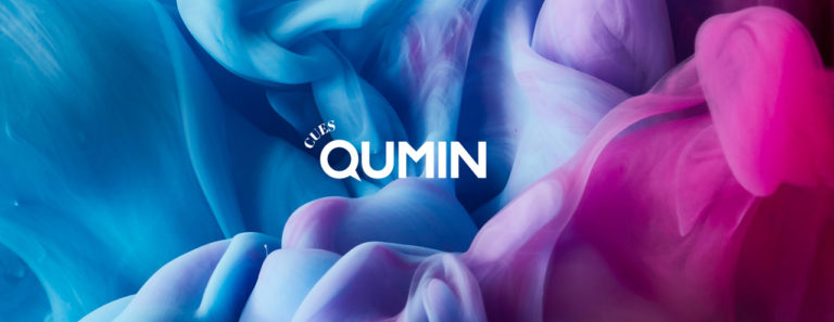 A Guide to Little Red Book for Digital Marketers | Qumin